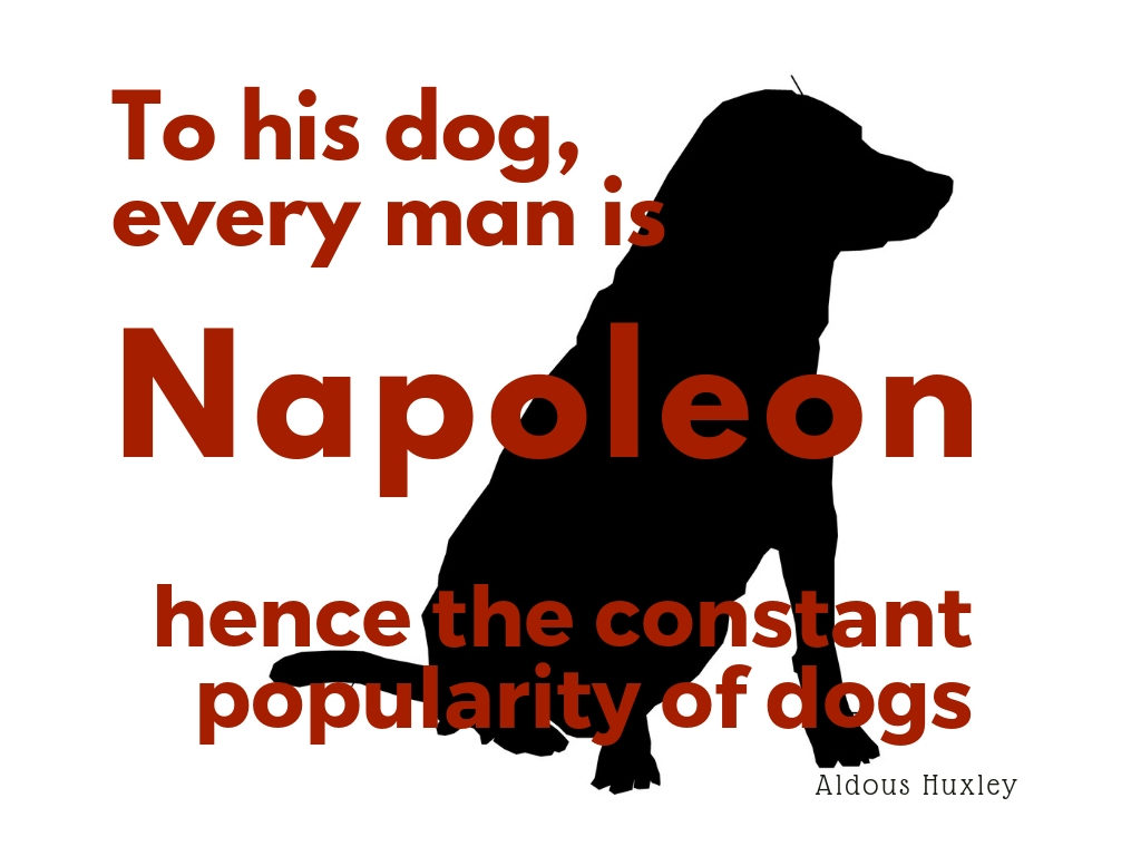 Why dogs are popular - Diplo Learning Corner